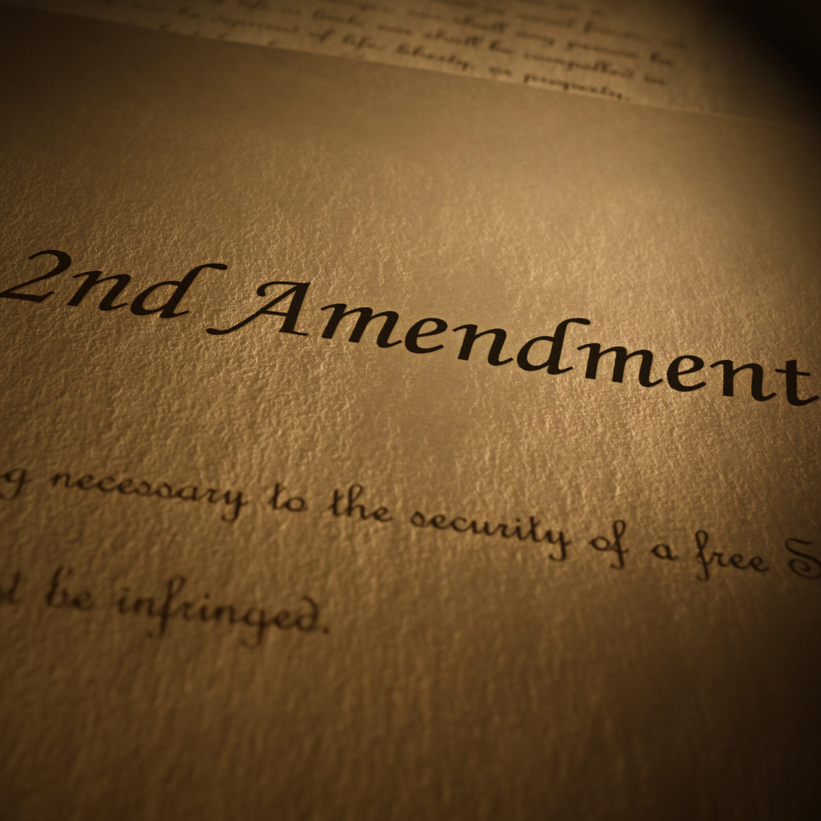 2nd Amendment - For The Little Things